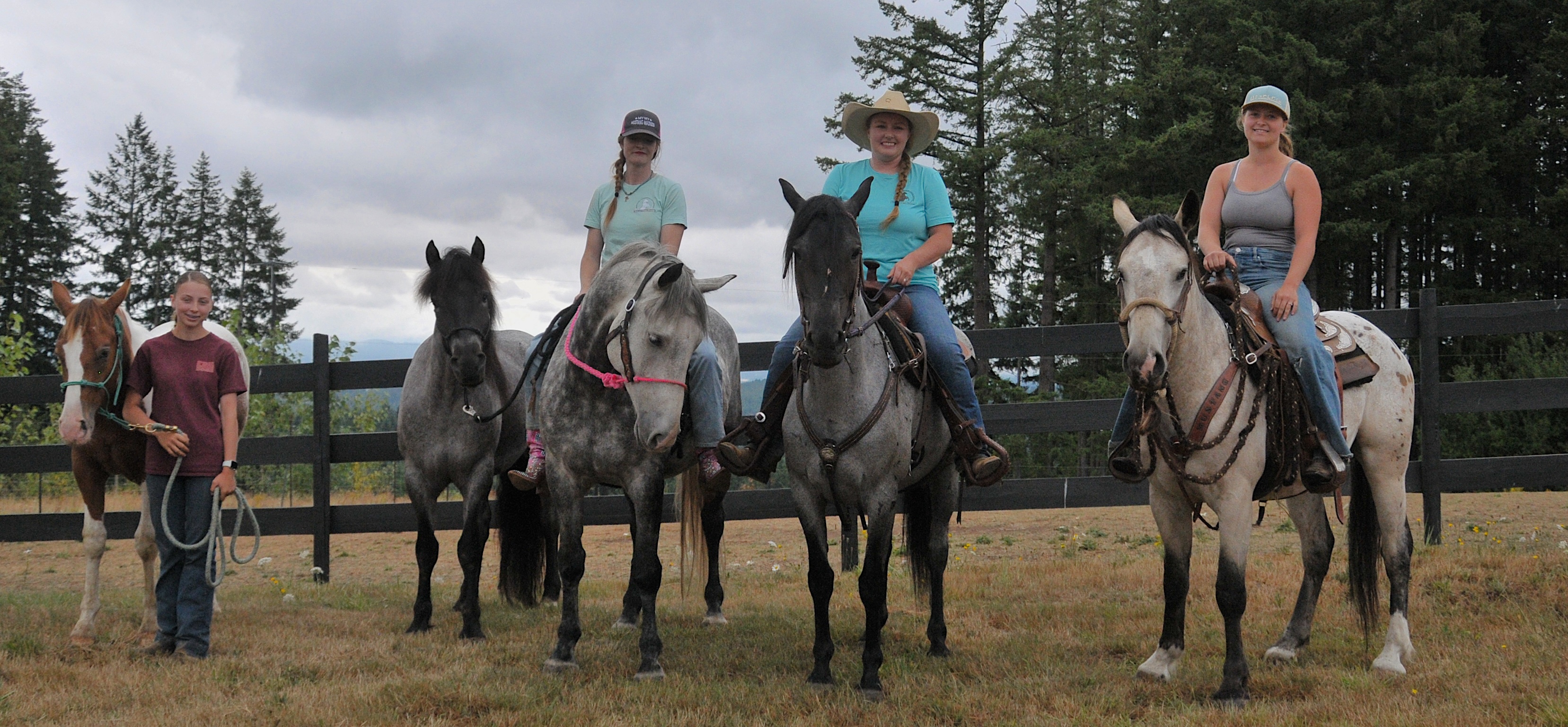 Mustang miracles: Wild horses find forever homes after teen training in ...