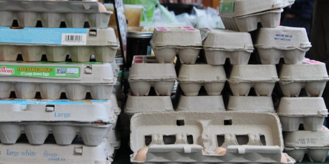 Oregon SNAP benefits to be fully funded for November, Gov. Kotek says ...